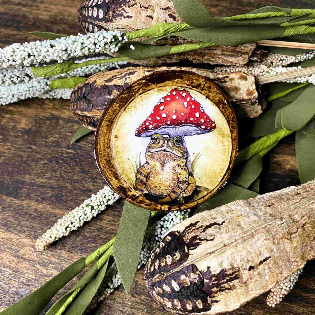 Frog Toad and Mushroom Fridge Magnet on Wood Slice - Handcrafted ...