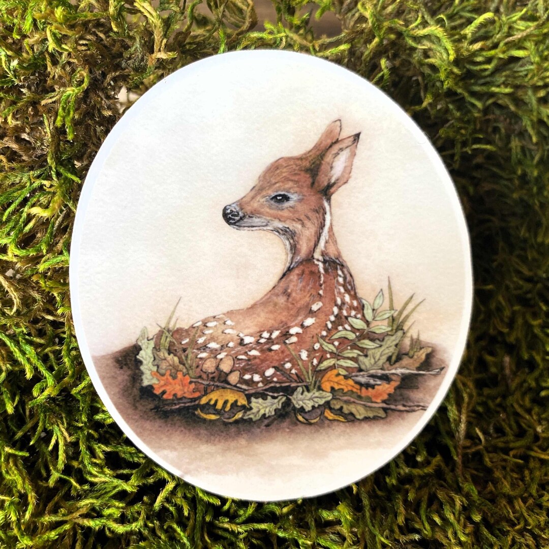 Beautiful Watercolor Deer and Fawn Stickers - Cute, Durable, Artsy ...