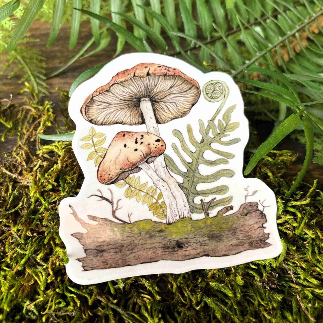 Waterproof Mushroom Sticker: Orange Fungi, Laptop Decal - Etsy