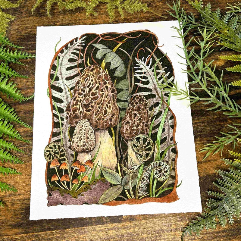Forest Mushrooms Painting - Etsy