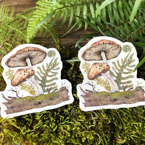 Waterproof Mushroom Sticker: Orange Fungi, Laptop Decal - Etsy