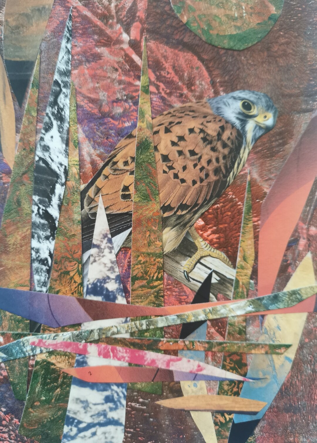 Collage Art 'bird of Prey' Mixed Media Small Original Abstract Art by ...
