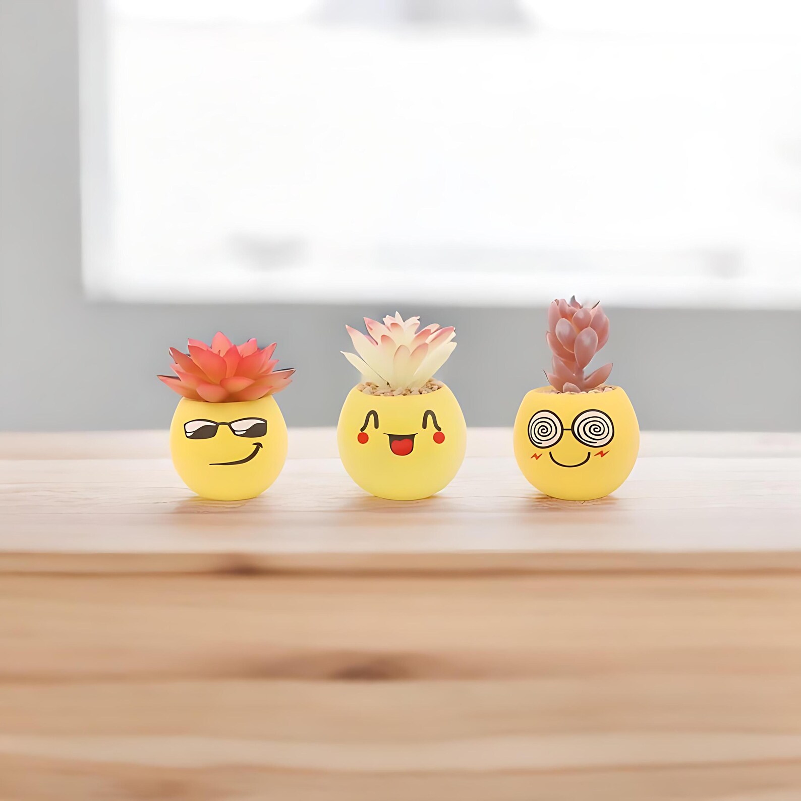 Smiley Face Pot – Artificial Succulent Desk Decor (6cm X 8.8cm) - Etsy