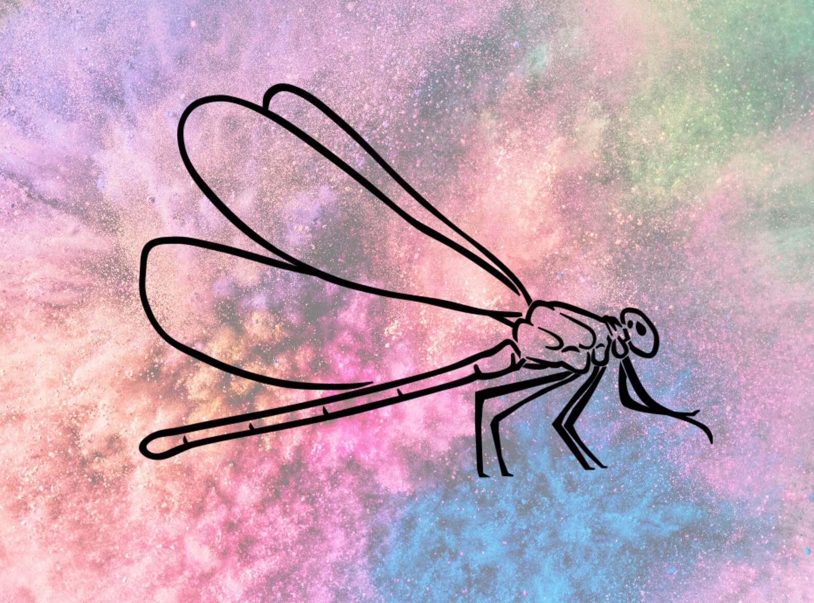 Dragonfly Collection Dragonfly Svg Bundle, Dragonfly Outline Svg ...