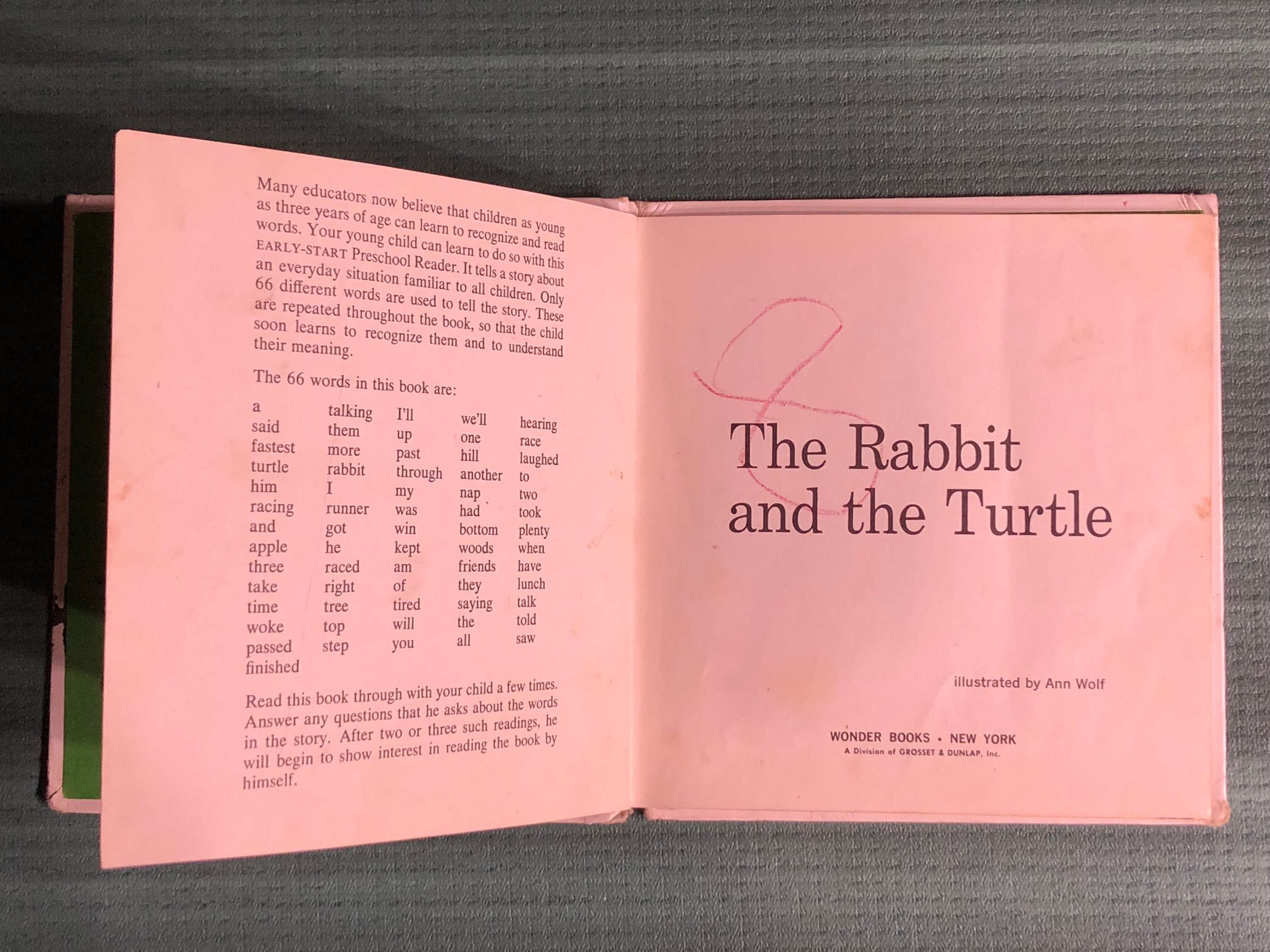 The Rabbit and the Turtle - Etsy