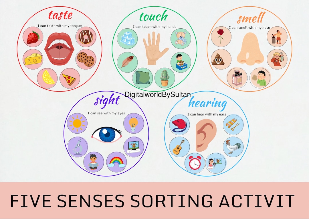 Five Senses Sorting Activity, 5 Senses Classification Game, Preschool ...