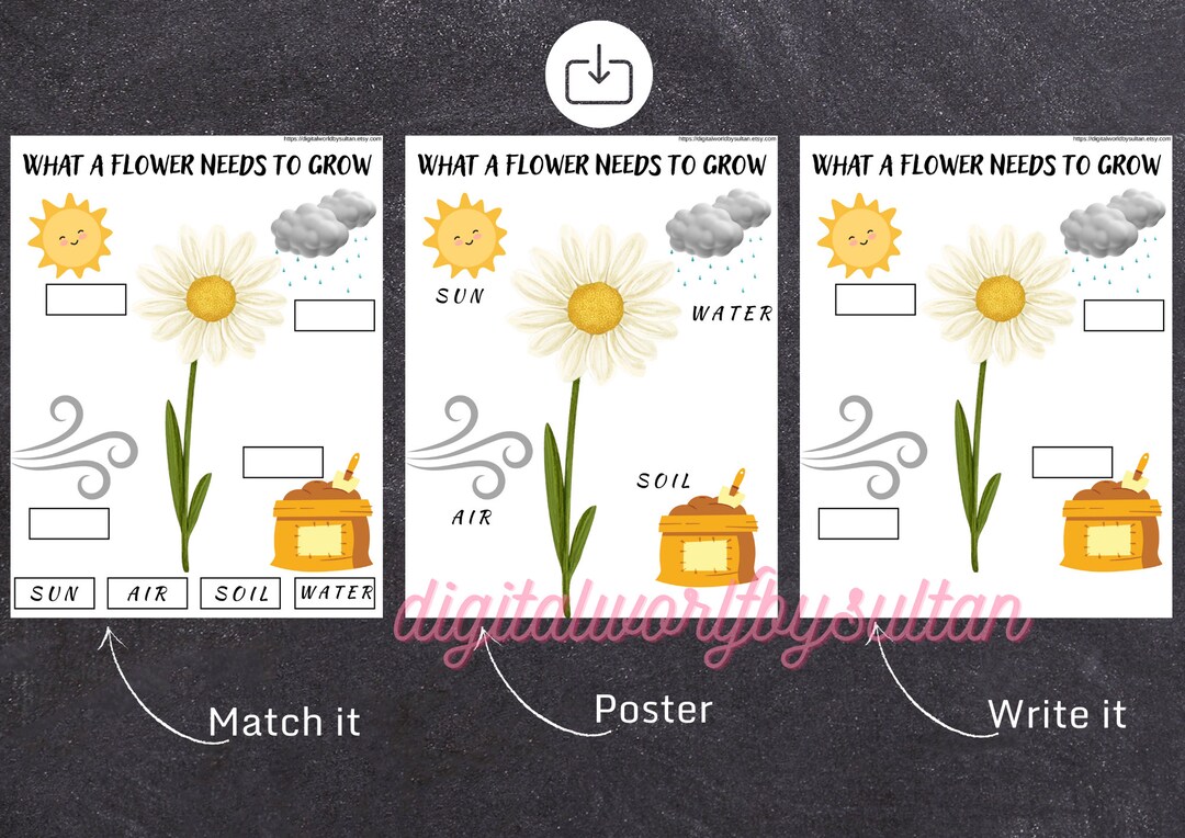 What a Flower Needs to Grow, Preschool Curriculum, Preschool Printable ...