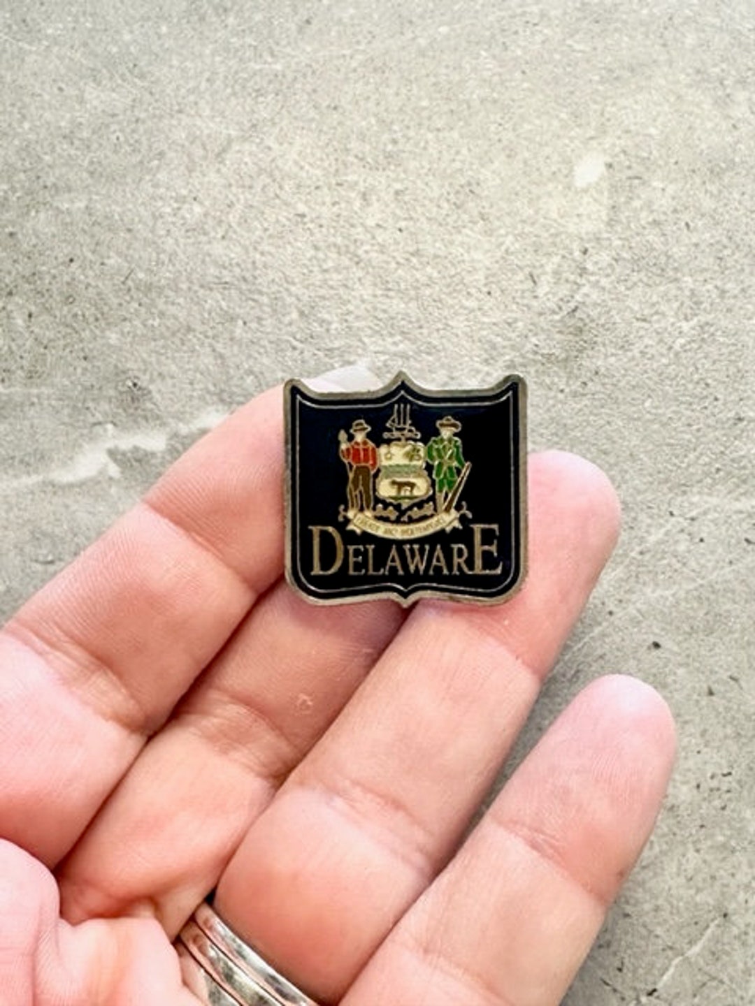20 Bulk Vintage Delaware Pins - Etsy