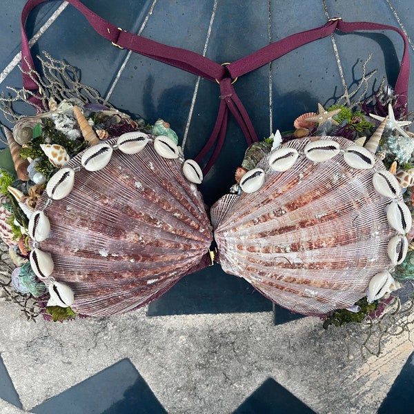 Seashell Bra - Etsy