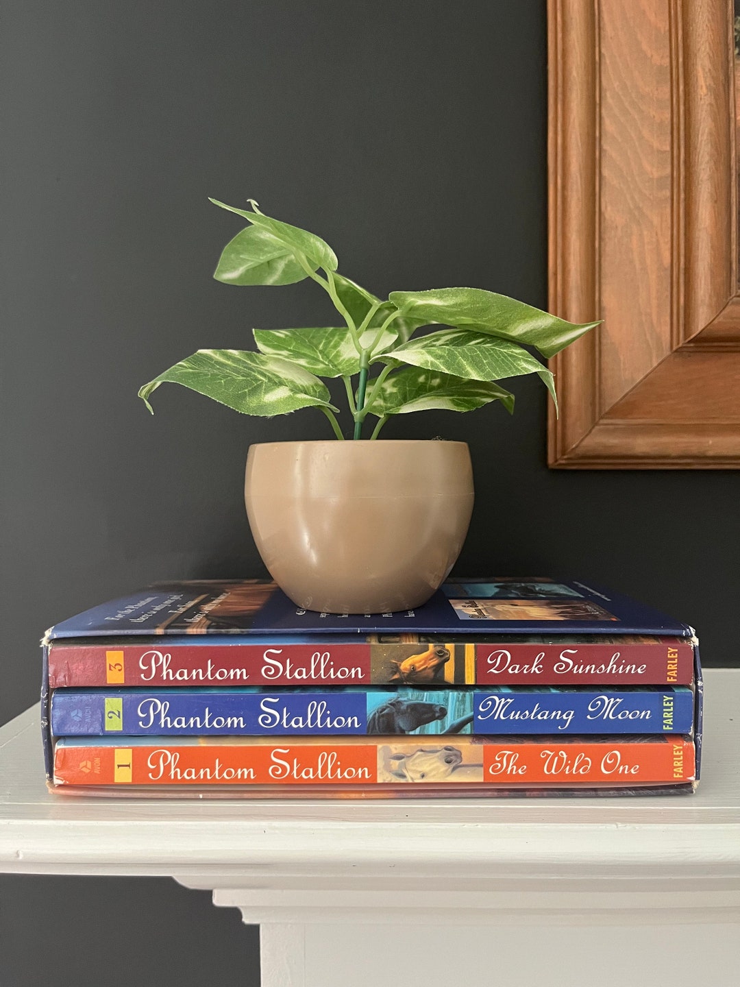 Phantom Stallion Book Series - the Wild One - Mustang Moon - Dark ...