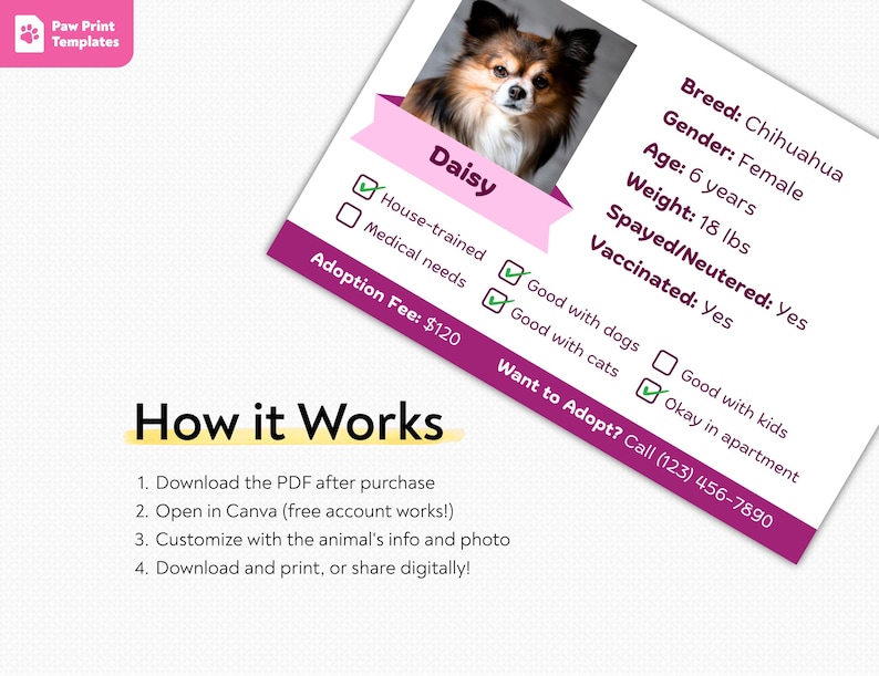 Editable Kennel Card Template for Dogs & Cats | Pet Profile for Shelter ...