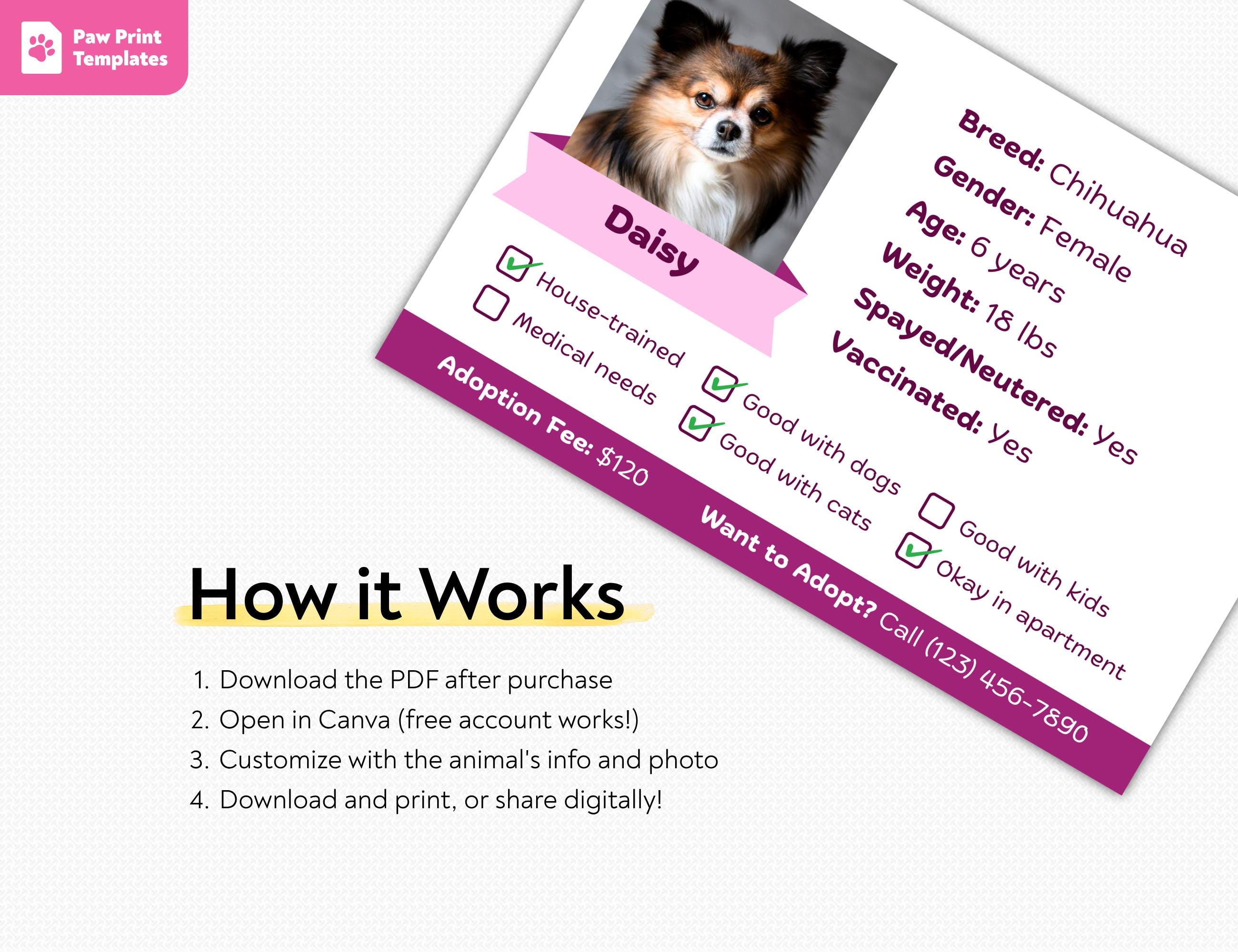 Editable Kennel Card Template for Dogs & Cats | Pet Profile for Shelter ...