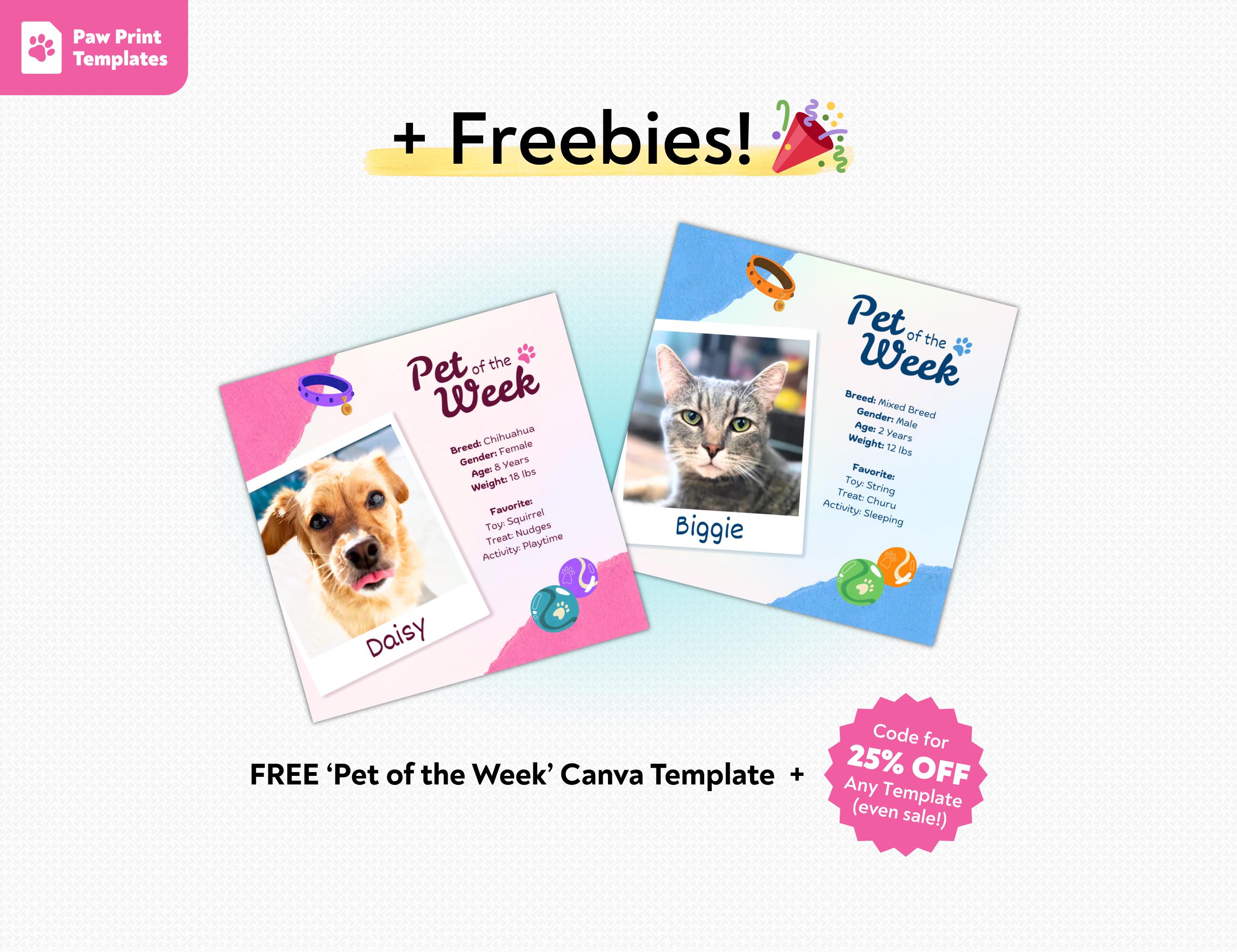 Editable Kennel Card Template for Dogs & Cats | Pet Profile for Shelter ...