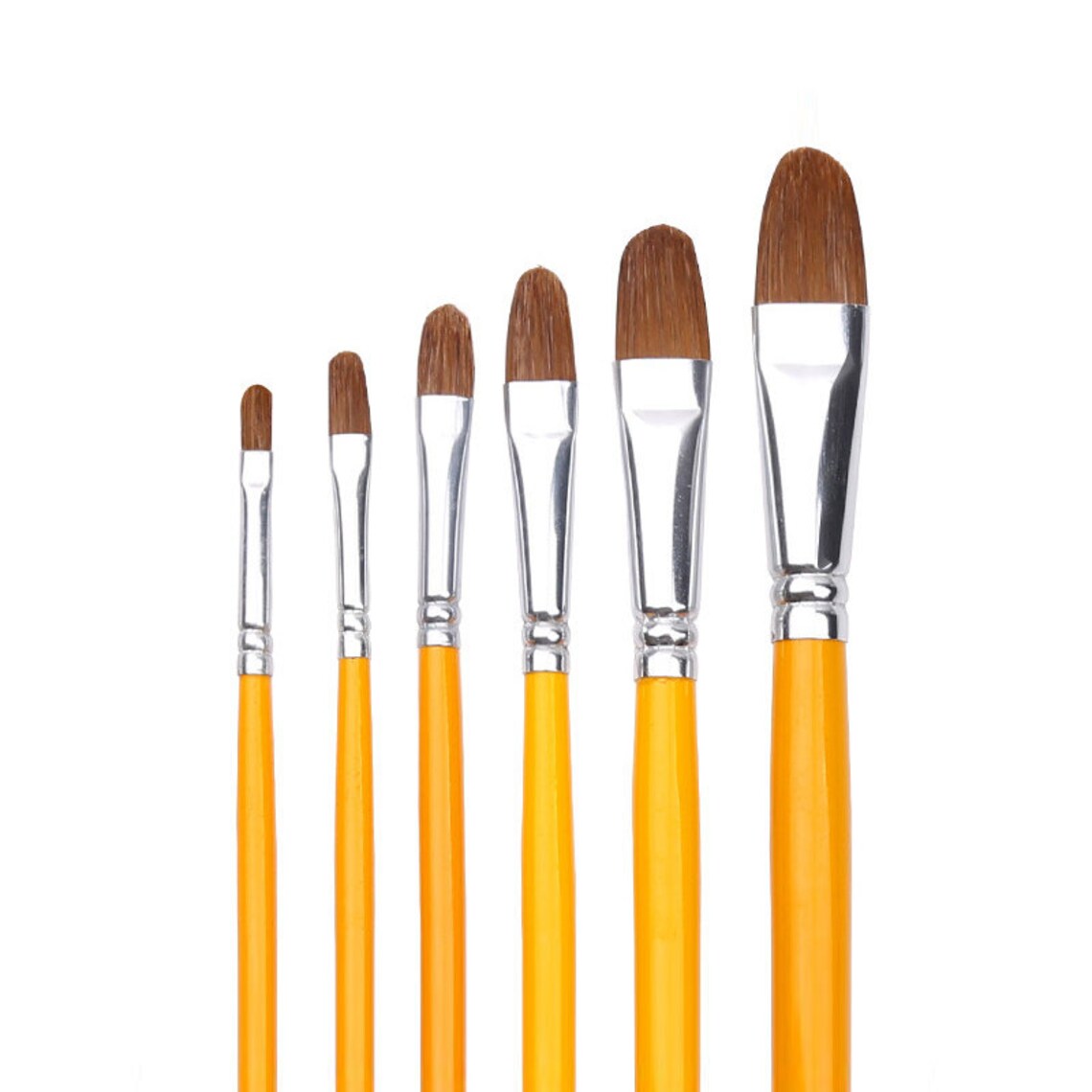 Premium 6-piece Art Brush Set Artist Brushes for Watercolor, Acrylic ...