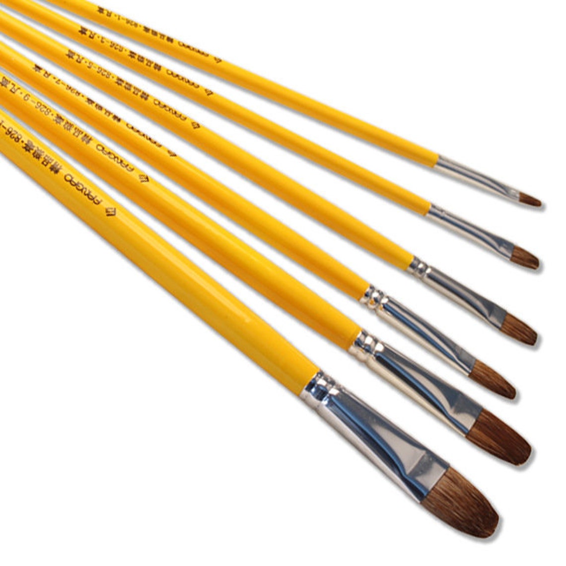 Premium 6-piece Art Brush Set Artist Brushes for Watercolor, Acrylic ...