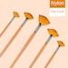 5-pcs Fan Shape Nylon Hair Brush Set | Wood Handles | 28.2cm to 31cm ...