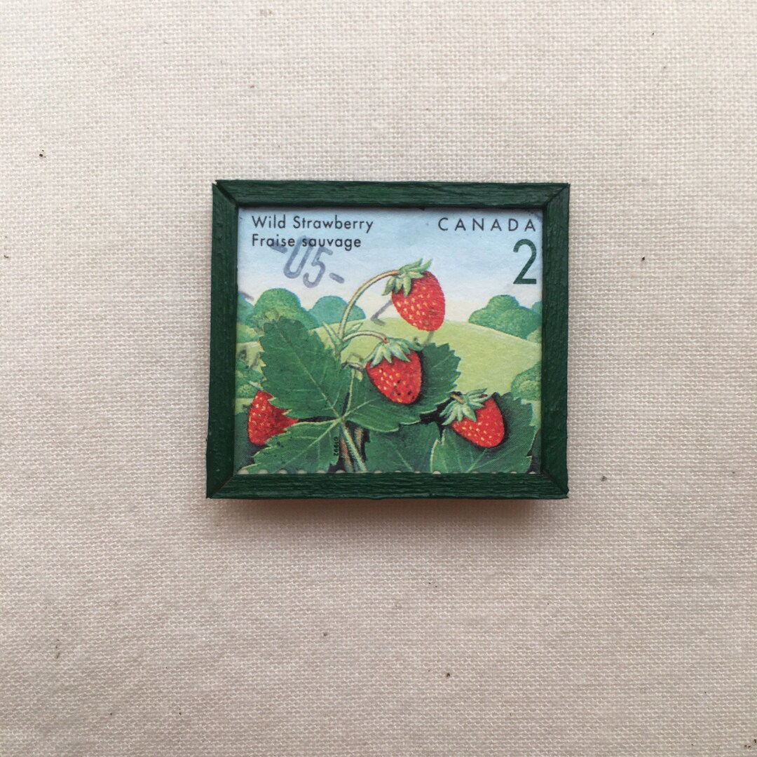 Framed Strawberry Postage Stamp - Etsy