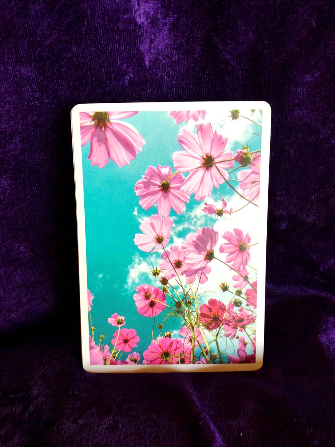 Mother Nature Mantras | Floral Inspirational Cards | UK Out of Print ...
