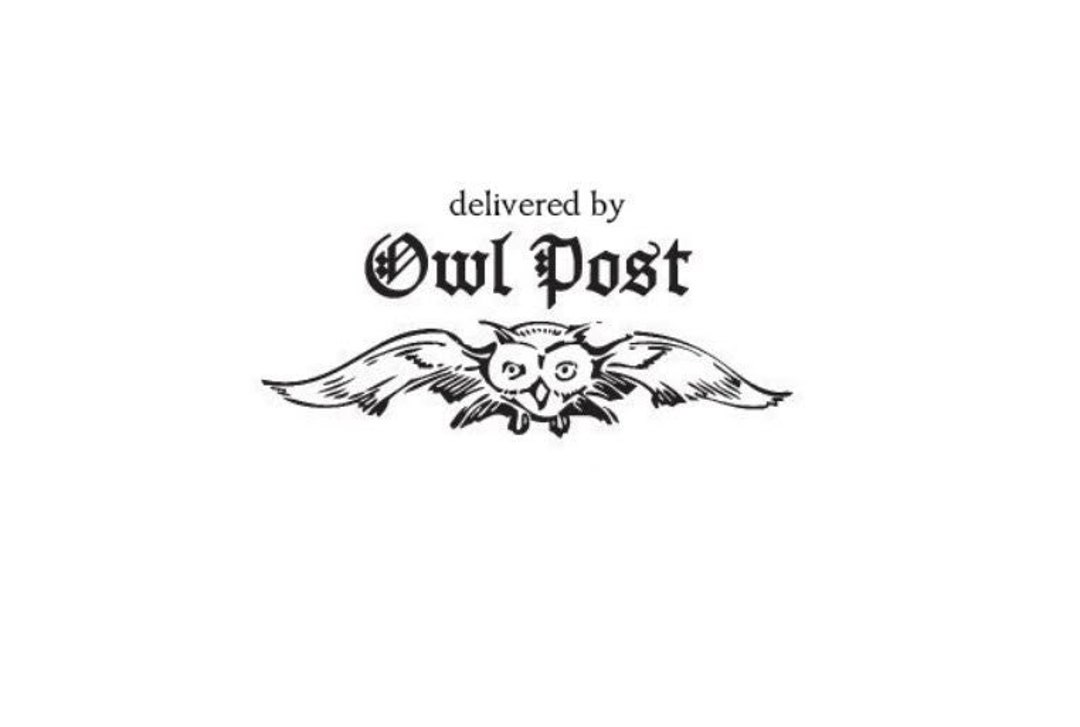 Delivered by Owl Post Rubber Stamp - Etsy