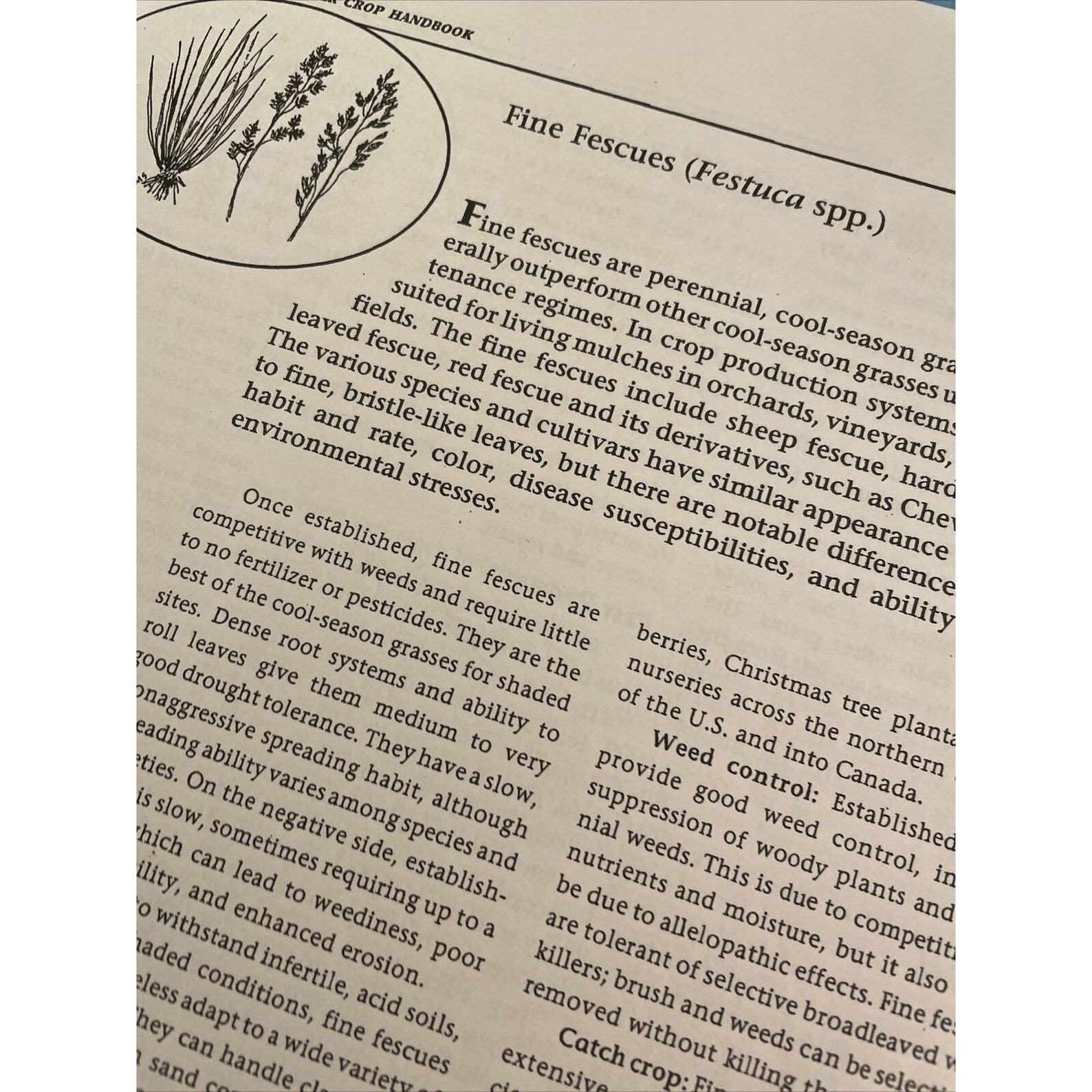 Northeast Cover Crop Handbook Soil Health Series Sarrantonio Rodale ...