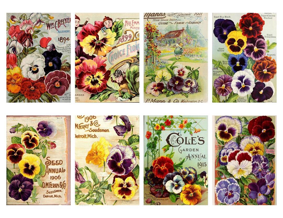 Vintage Botanical Pansy Flower Craft and Quilt Cotton Fabric Blocks by ...