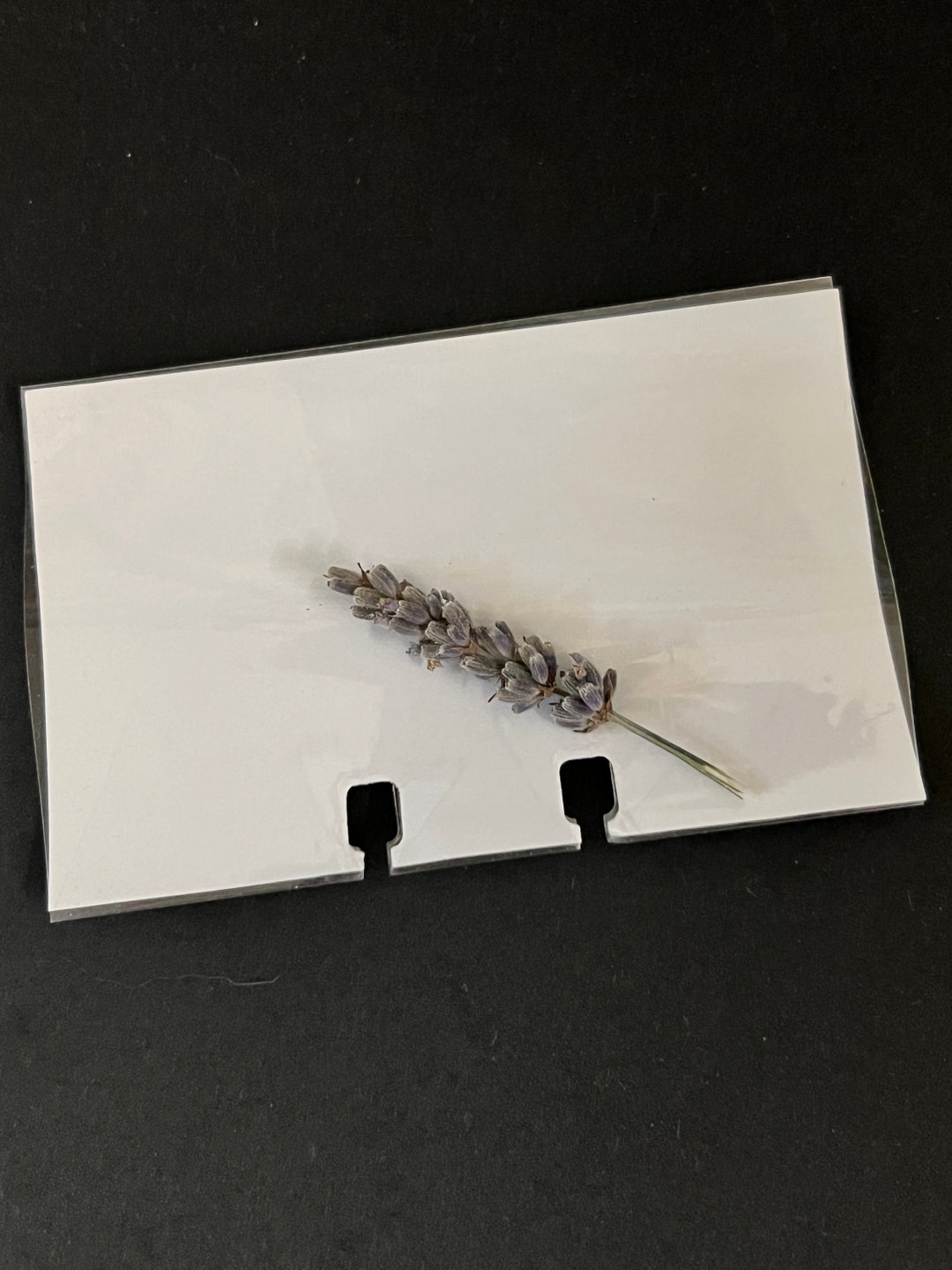 Vintage Rolodex Clear Pocket CARDS 4 X 3.5 Inches Set of 24 - Etsy