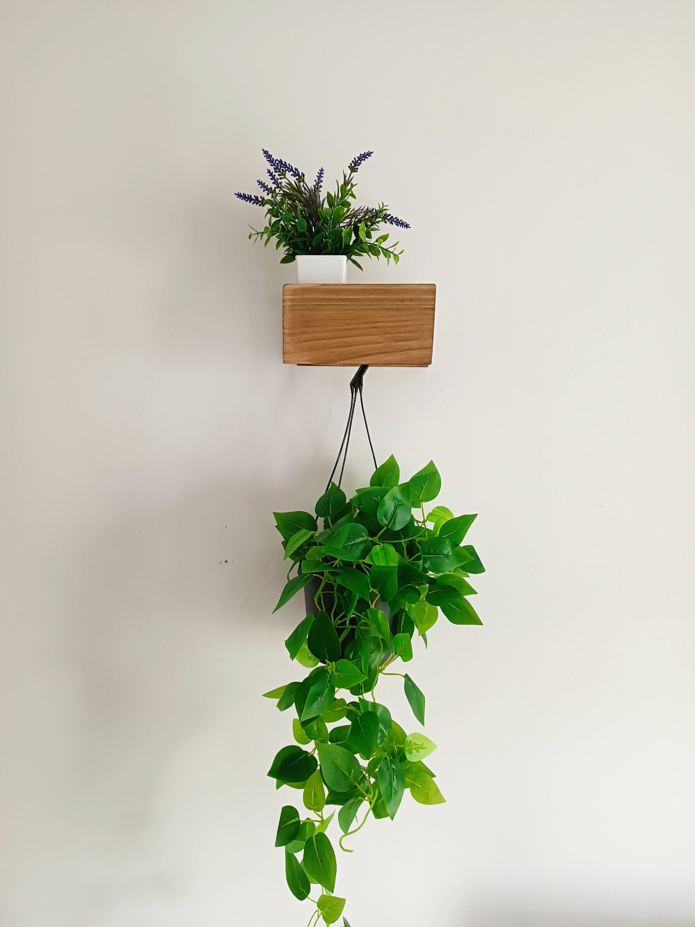 Sitemapcdatahttpsgtidreferenzcomporte Plante Mural Interieurnull