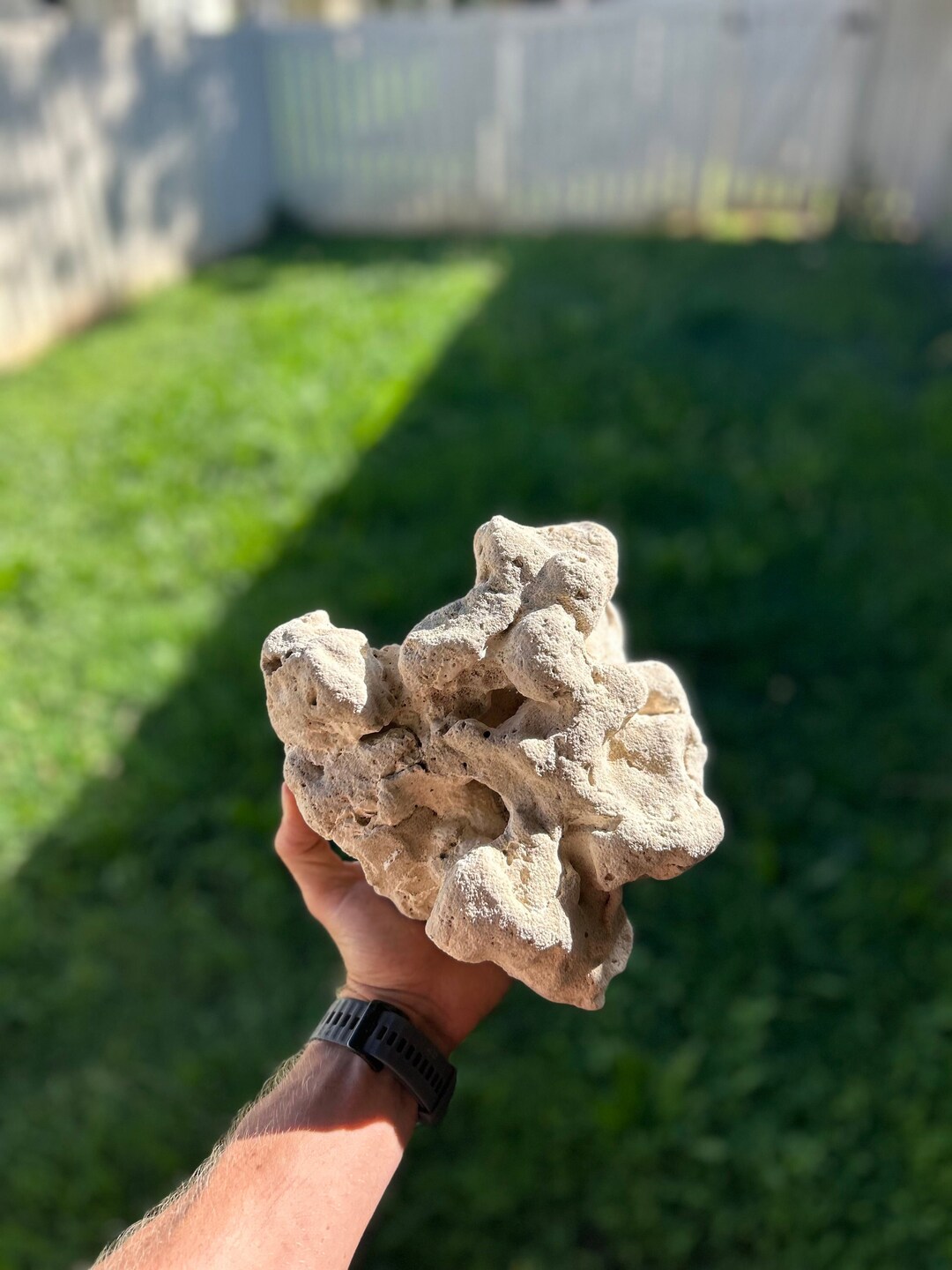 Large White Coral, Coral Structure, Natural Sea Coral, White Coral Reef ...