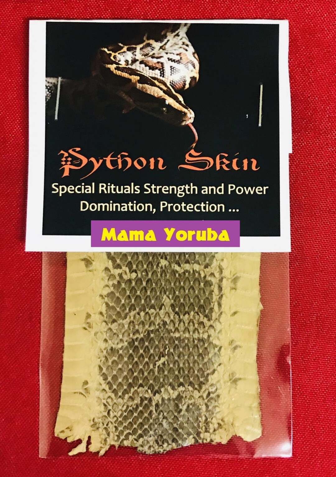 Python Skin for Offerings and Rituals Handmade Santeria Ifa Spell ...