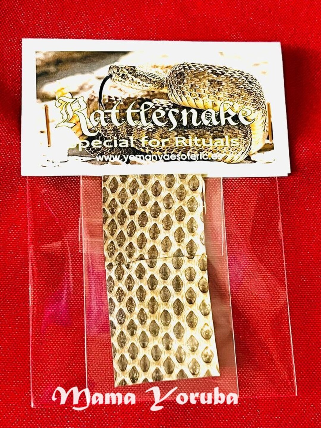 Rattlesnake Skin for Offerings and Rituals Handmade Santeria Ifa Spell ...