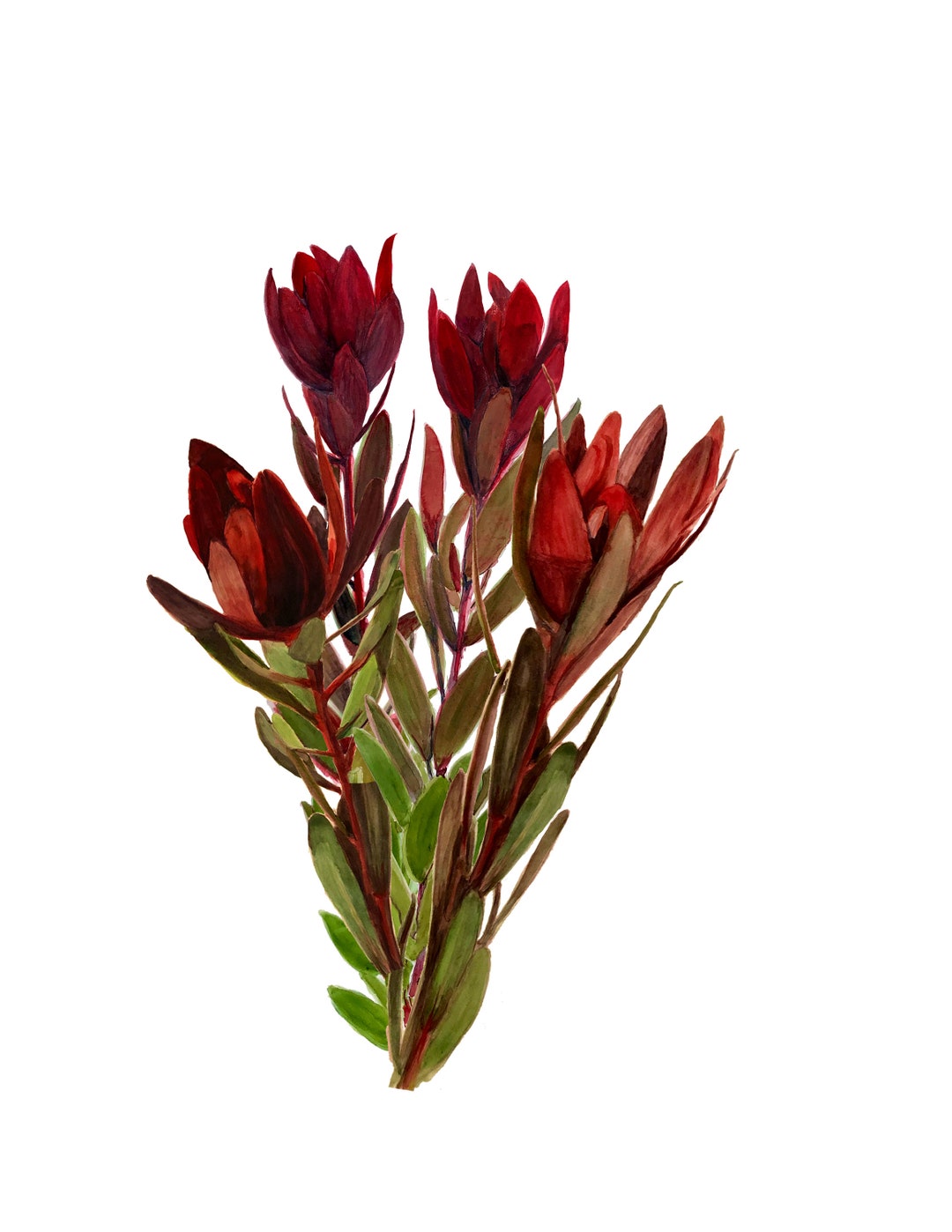 Safari Sunset Flower Watercolor Painting on Paper, Digital Printed on ...