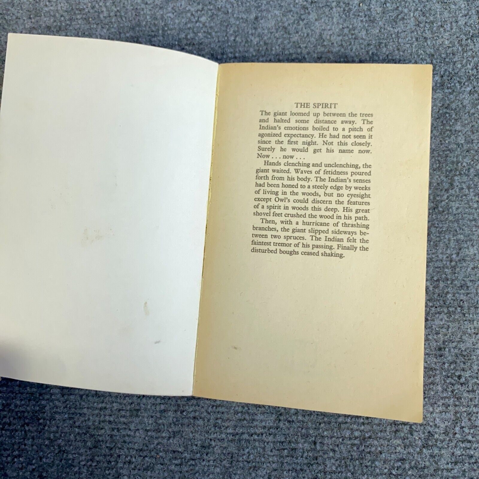 The Spirit Thomas Page 1980 Hamlyn Horror Paperback Novel Bigfoot ...