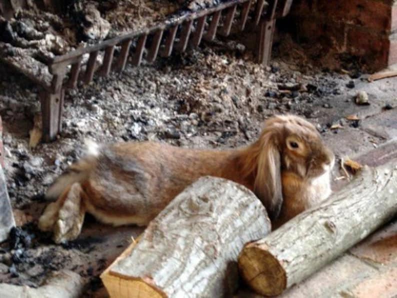 Primitive Farmhouse Bunny Digital Pattern Spring Rabbit Make Do by ...