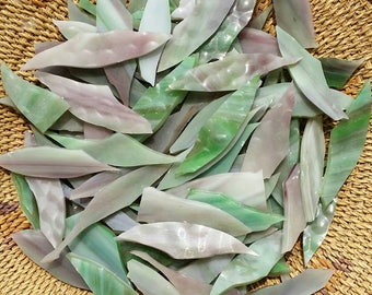 Mosaic Shards - Etsy