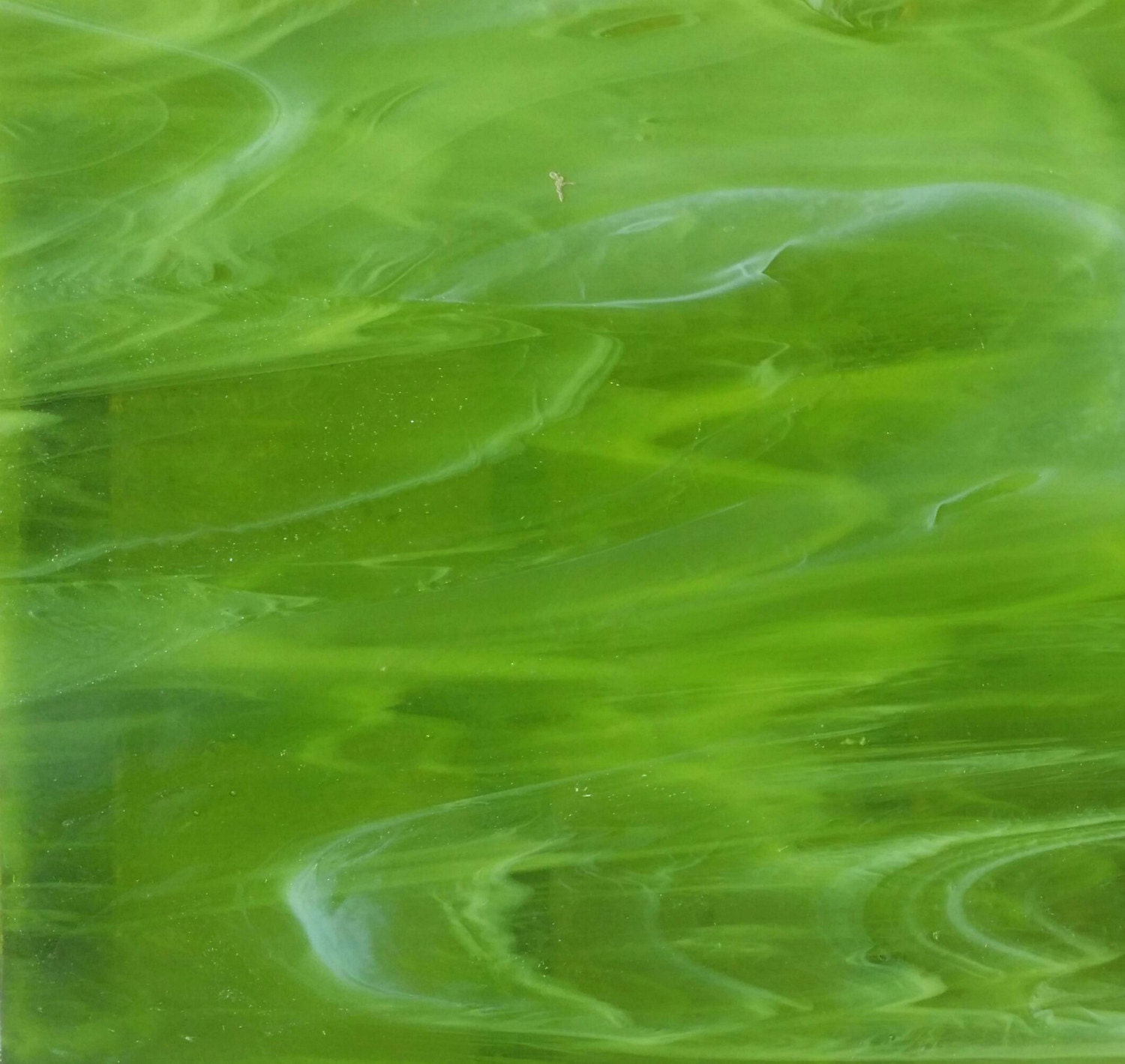 Lime Green Glass Shards for Mosaic Art Crafting - Etsy