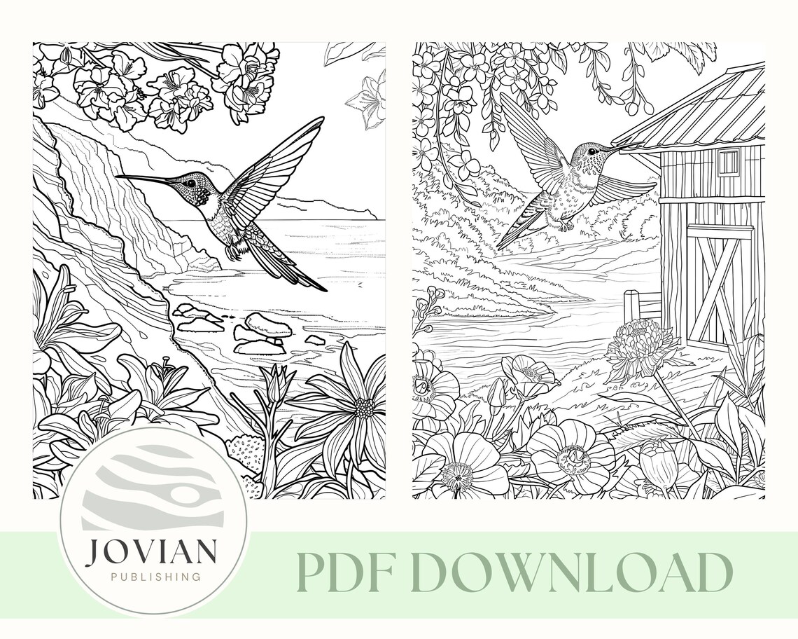 Charming Hummingbirds Relaxing Coloring Book for Adults by Jovian Adult ...