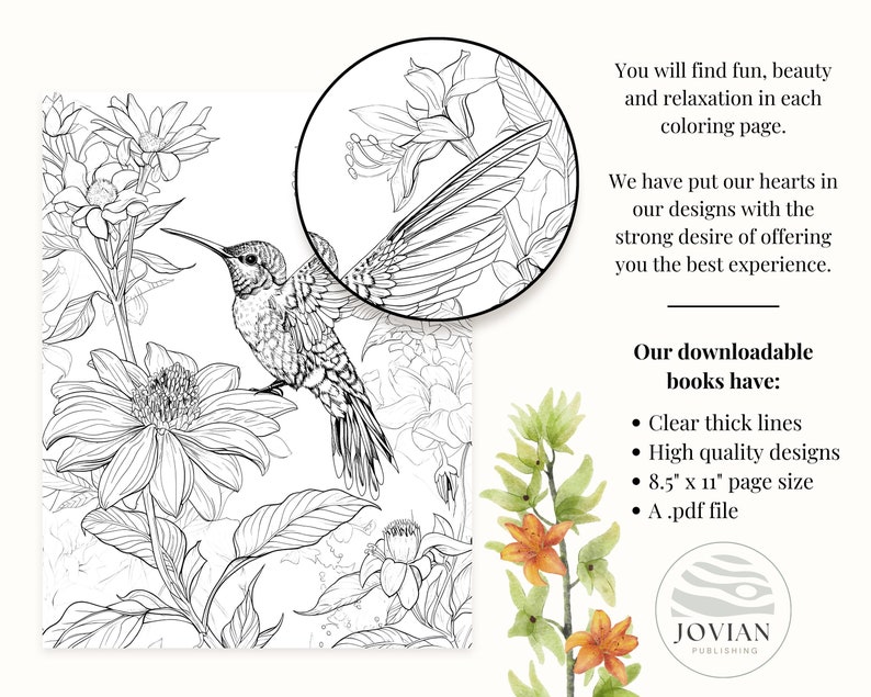 Charming Hummingbirds Relaxing Coloring Book for Adults by Jovian Adult ...