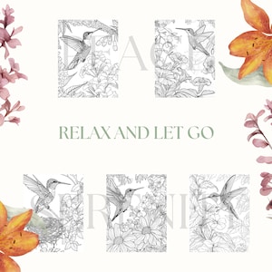 Charming Hummingbirds Relaxing Coloring Book for Adults by Jovian ...