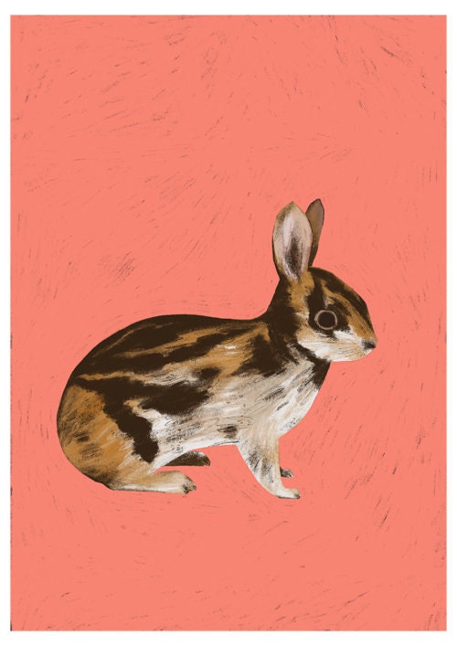 Annamite Striped Rabbit