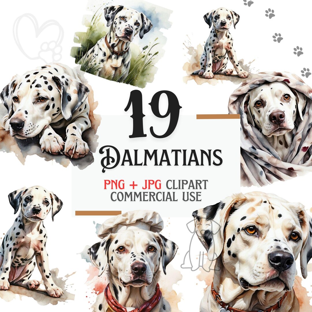 Dalmatian Watercolor Clipart, 19 High-quality Transparent PNG, Dog ...