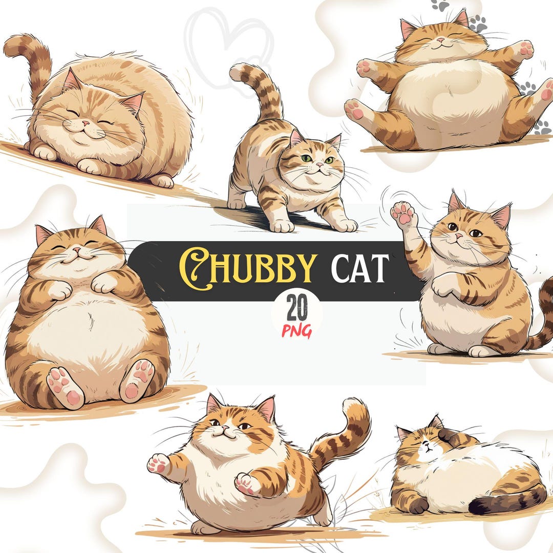 Chubby Cat PNG Clipart Bundle, Cute Fat Cat Illustrations, Adorable ...