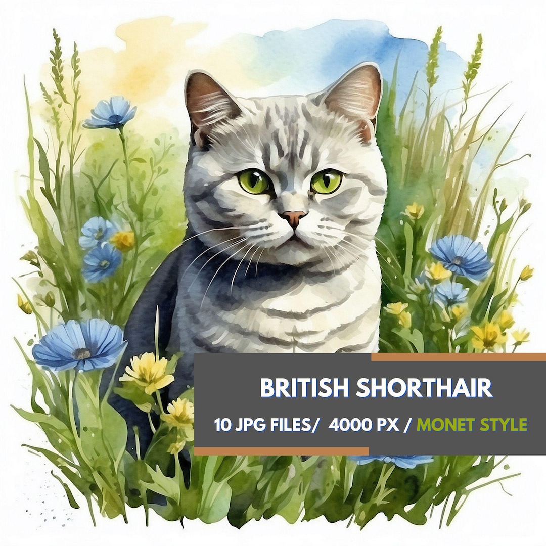 British Shorthair Clipart Bundle, 10 High-quality JPG Prints, Home ...