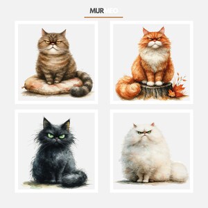 Frazzled Cat, Grumpy Cat Art Print, Funny Cat Illustration Bundle ...