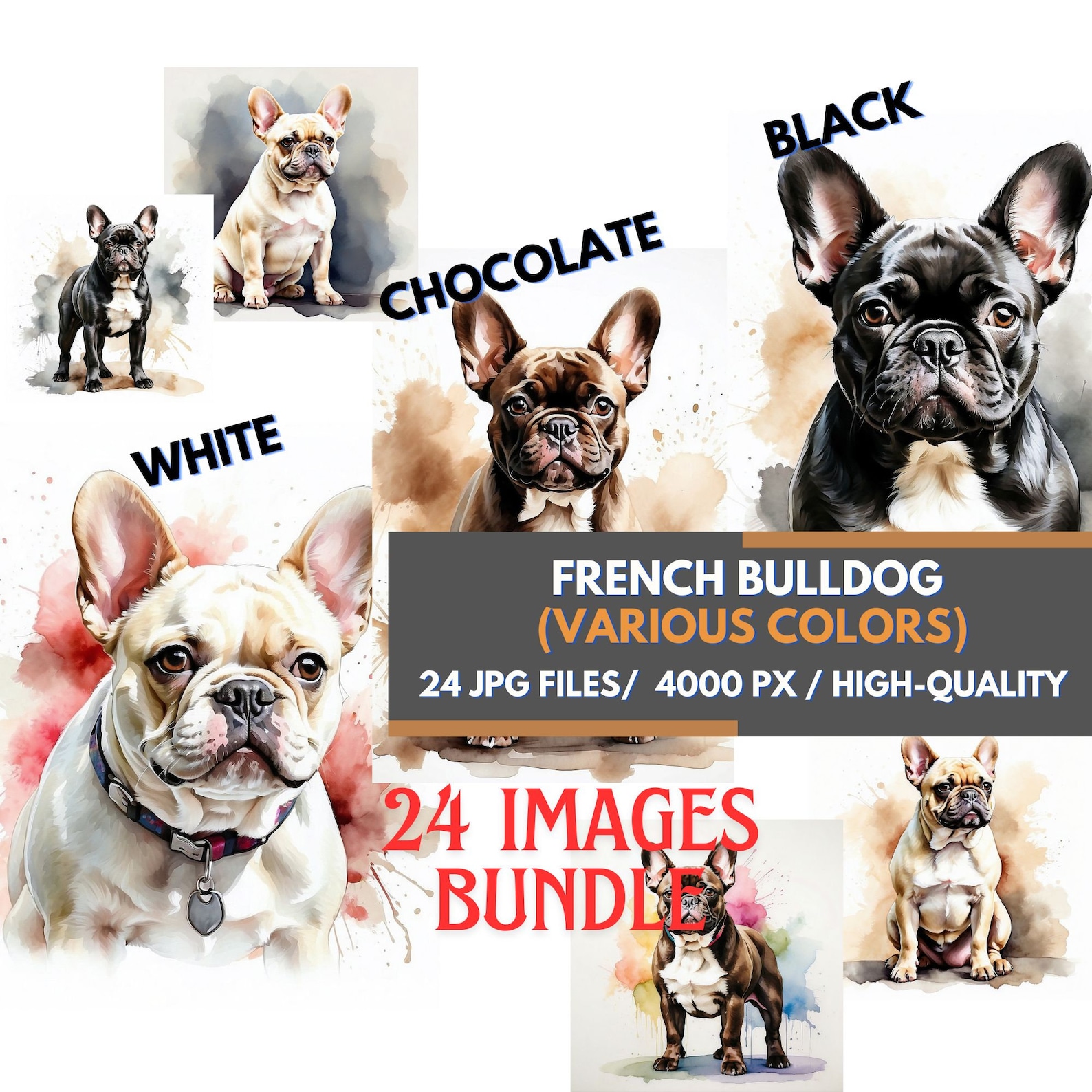 24 French Bulldogs Clipart | Watercolor Bulldog | Black, White ...