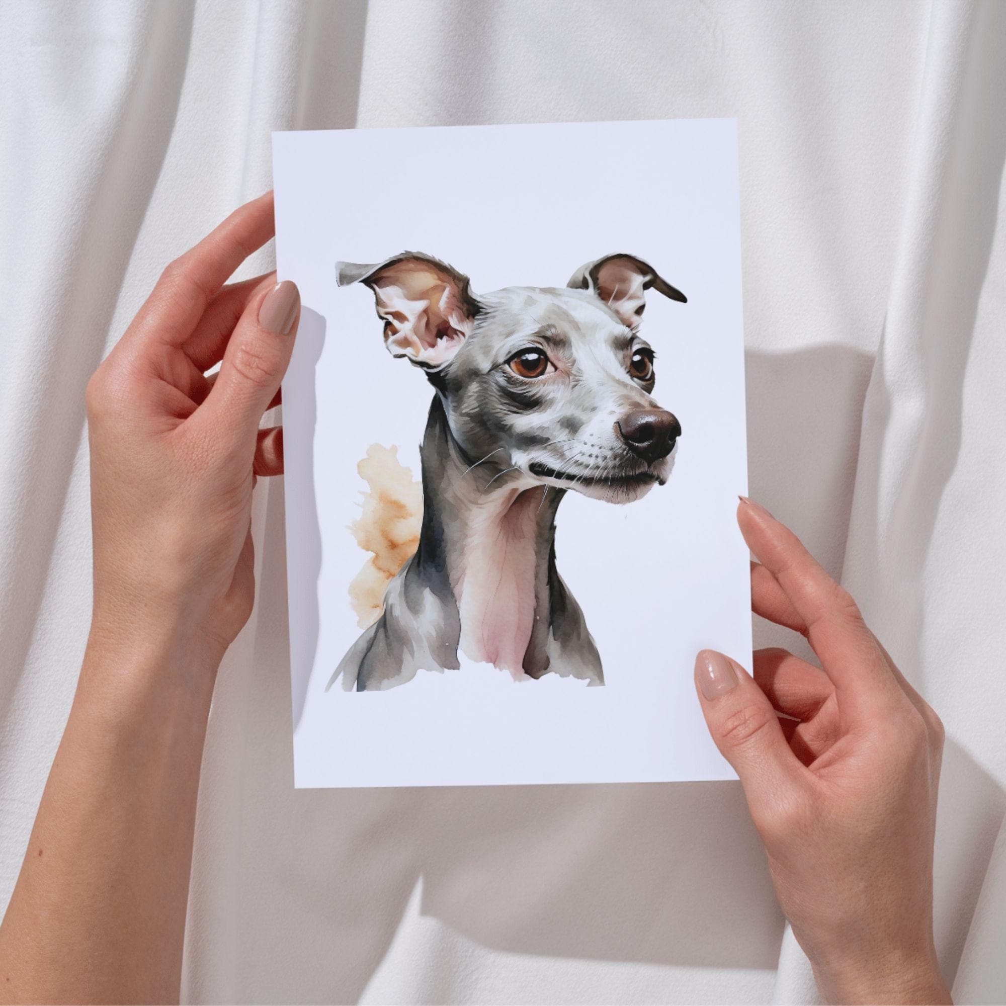 Italian Greyhound Dog Transparent Watercolor Clipart, 21 PNG ...