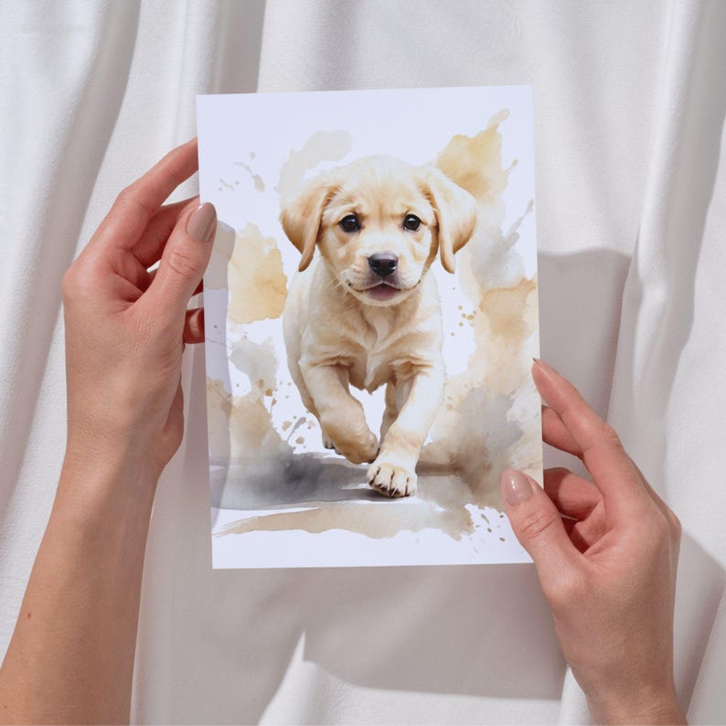 Cute Labrador Retriever Puppies, Watercolor Clipart Bundle for ...