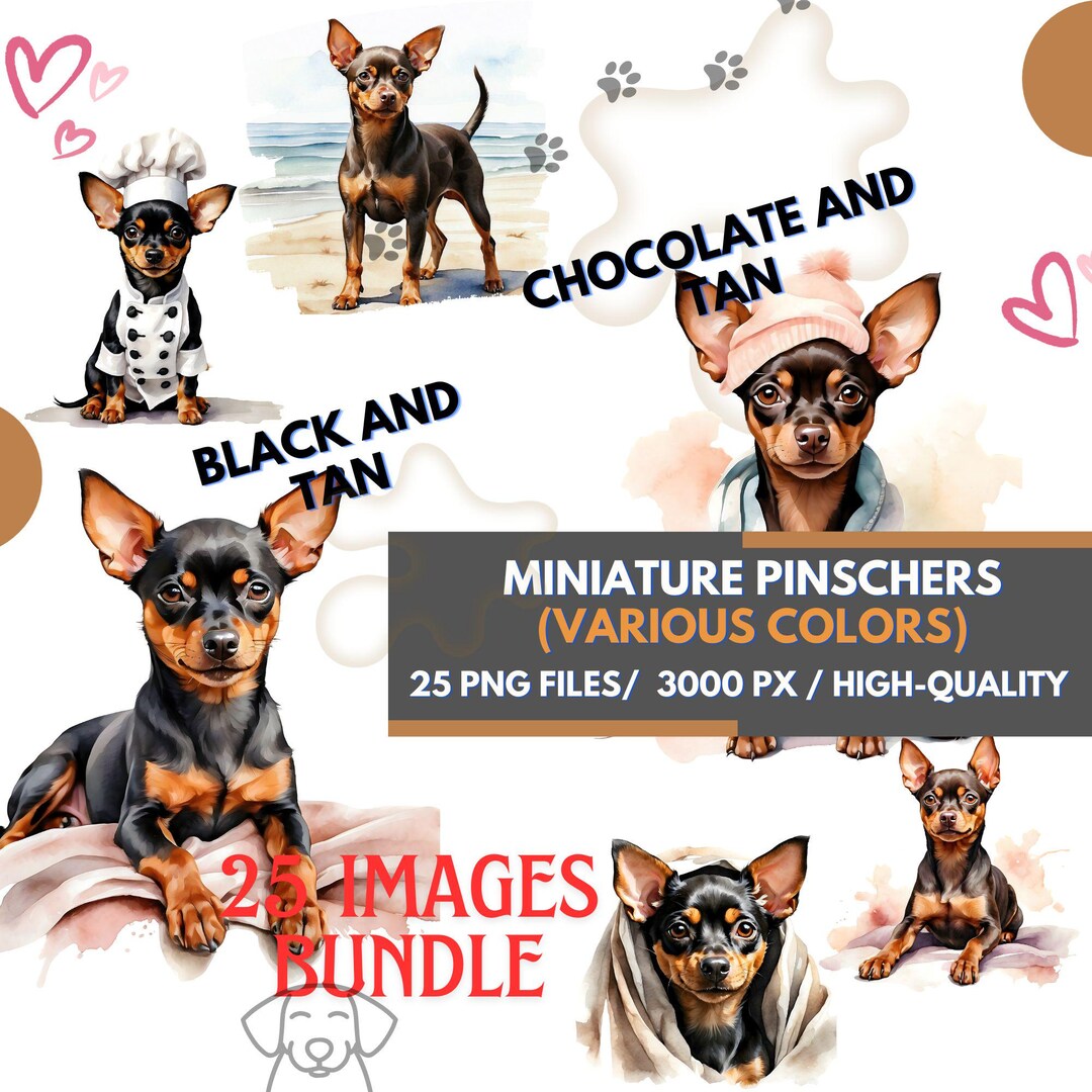 Cute Miniature Pinscher Watercolor Art Set – 25 Transparent PNG Files ...