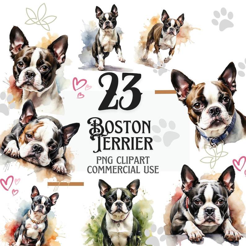 Charming Boston Terrier Clipart Collection, 23 High-quality PNG Images ...