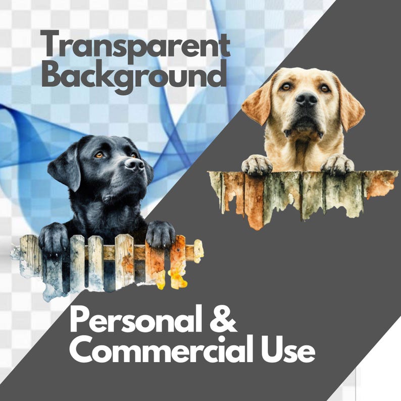 Peeking Out Labrador Dogs PNG Clipart Bundle, Cute Labrador Retriever ...