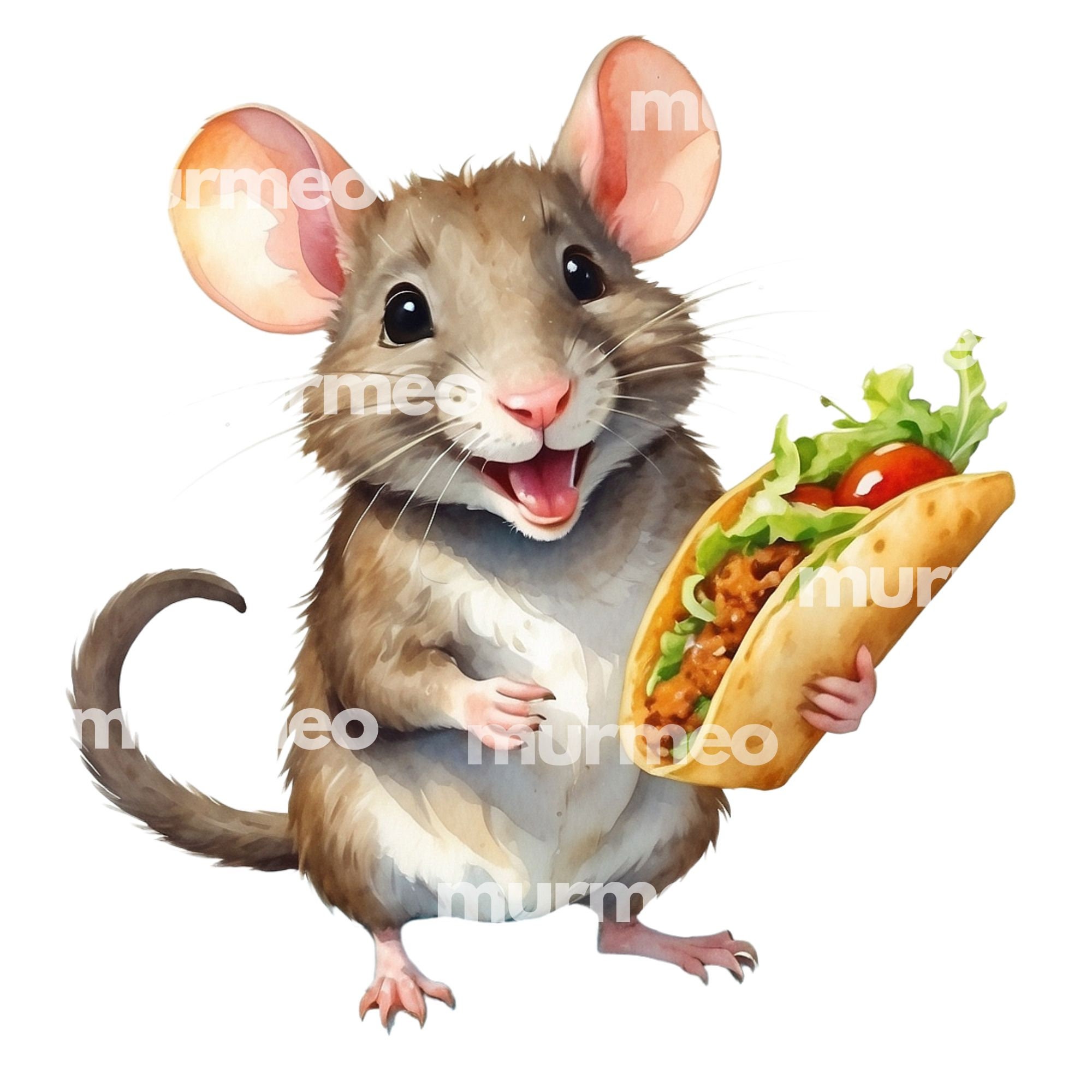 Rat With Fish Taco Clipart, 18 Magical PNG Images, Full Commercial Use ...